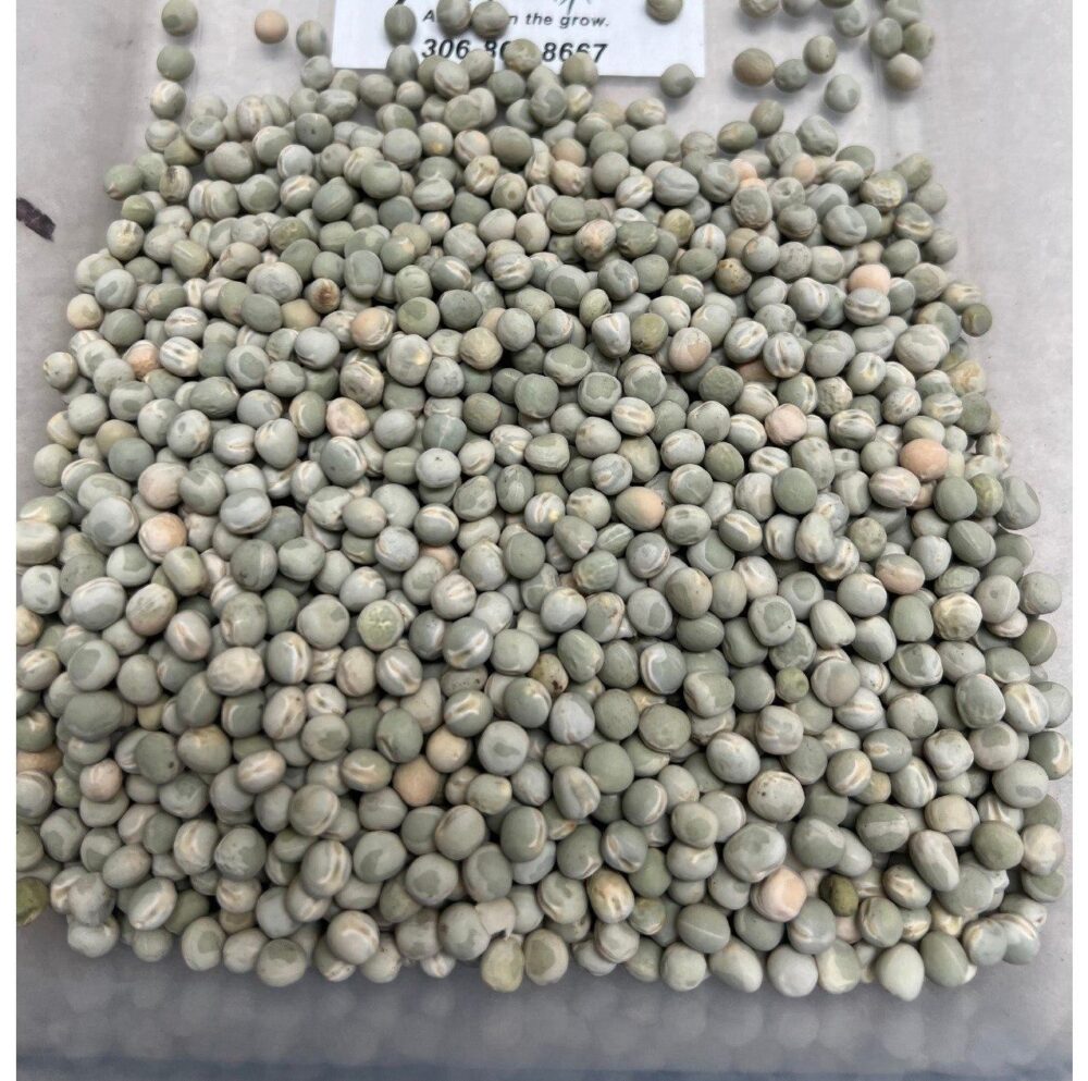 Maple Peas - Canexfarm - U order V supply!